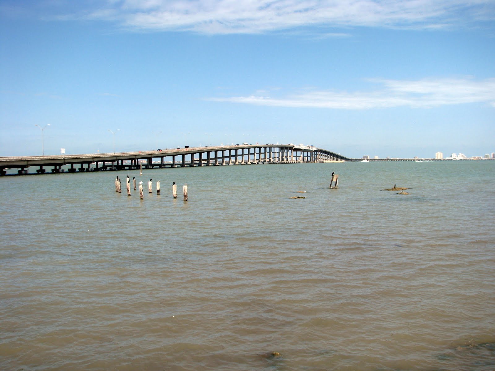 The Happy Wanderers: South Padre Island