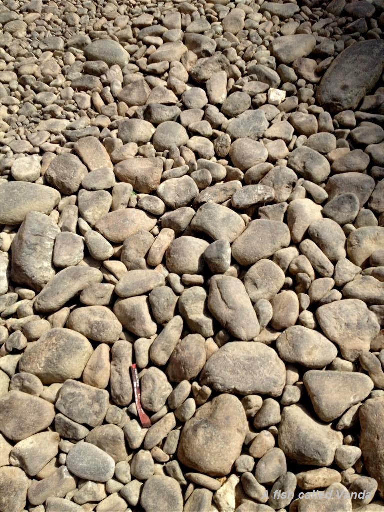 Life in Dubai: Fujairah (UAE), Wadi Wurayah (UAE), Dibba (Oman)