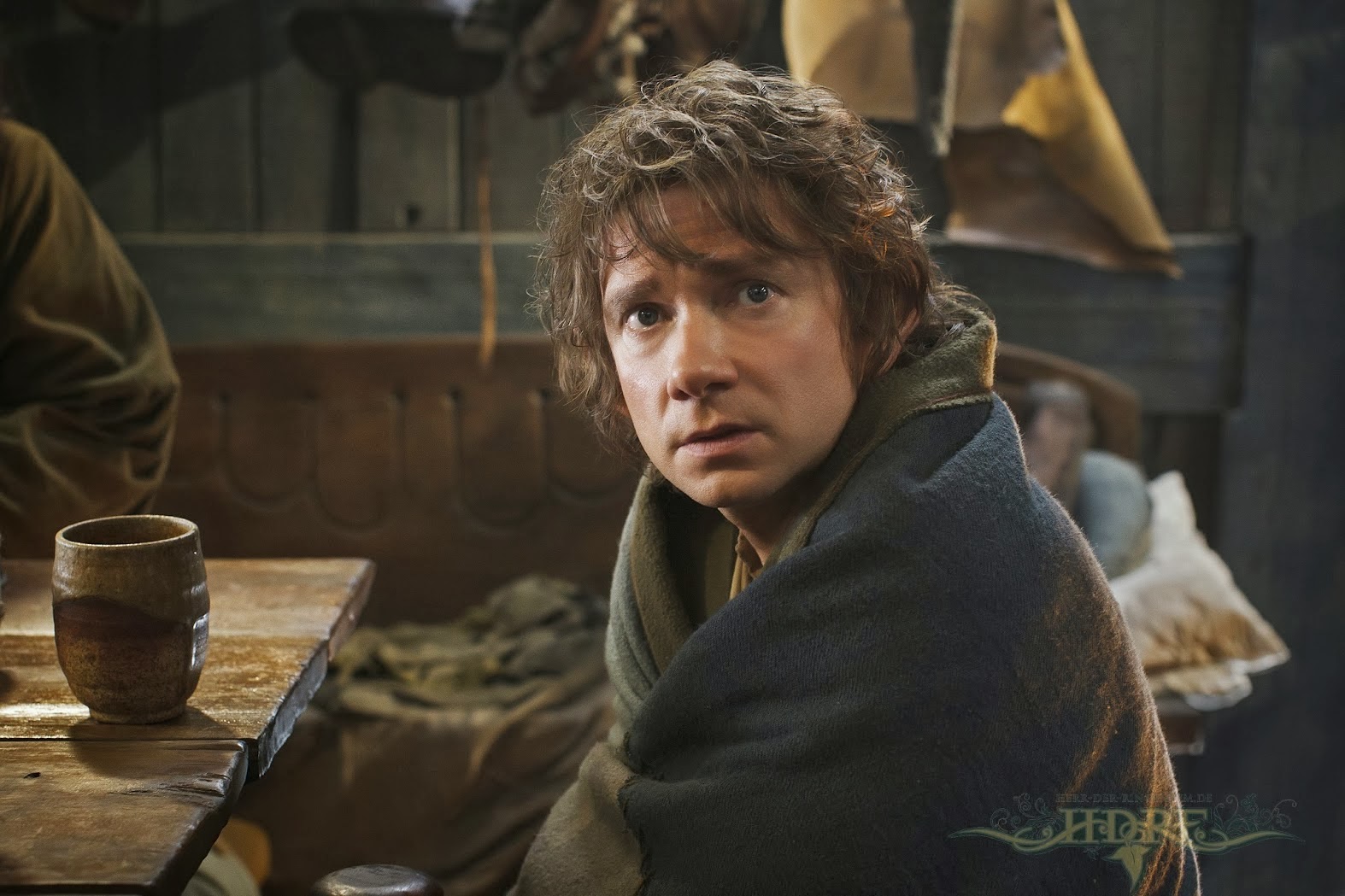 Peter Jackson Gives Way To 3 The Hobbit: The Desolation Of Smaug Banner ...