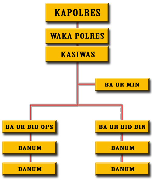 SEKSI PENGAWASAN POLRES CIAMIS: STRUKTUR ORGANISASI