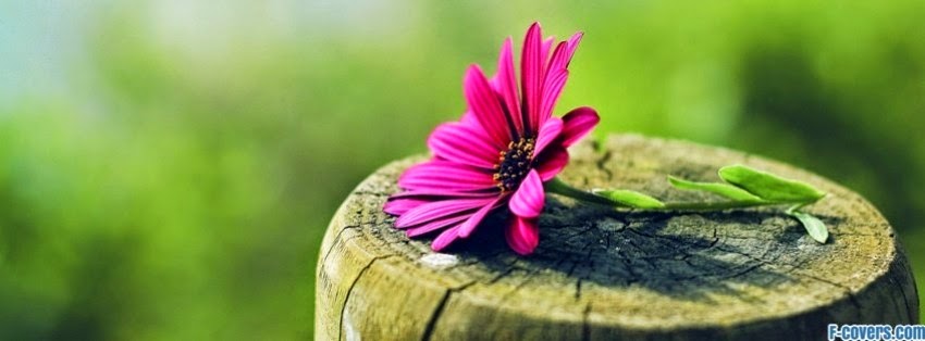 Zen Relaxation Backgrounds: Zen & Peace Facebook Cover Pics