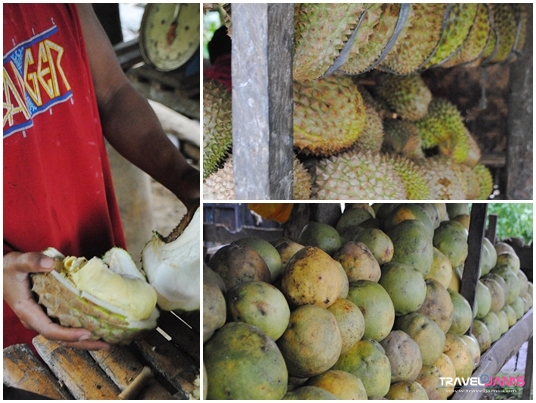 Road Trip: Pasalubong Stopovers | Davao City - Iligan City (PART 1 of 3 ...