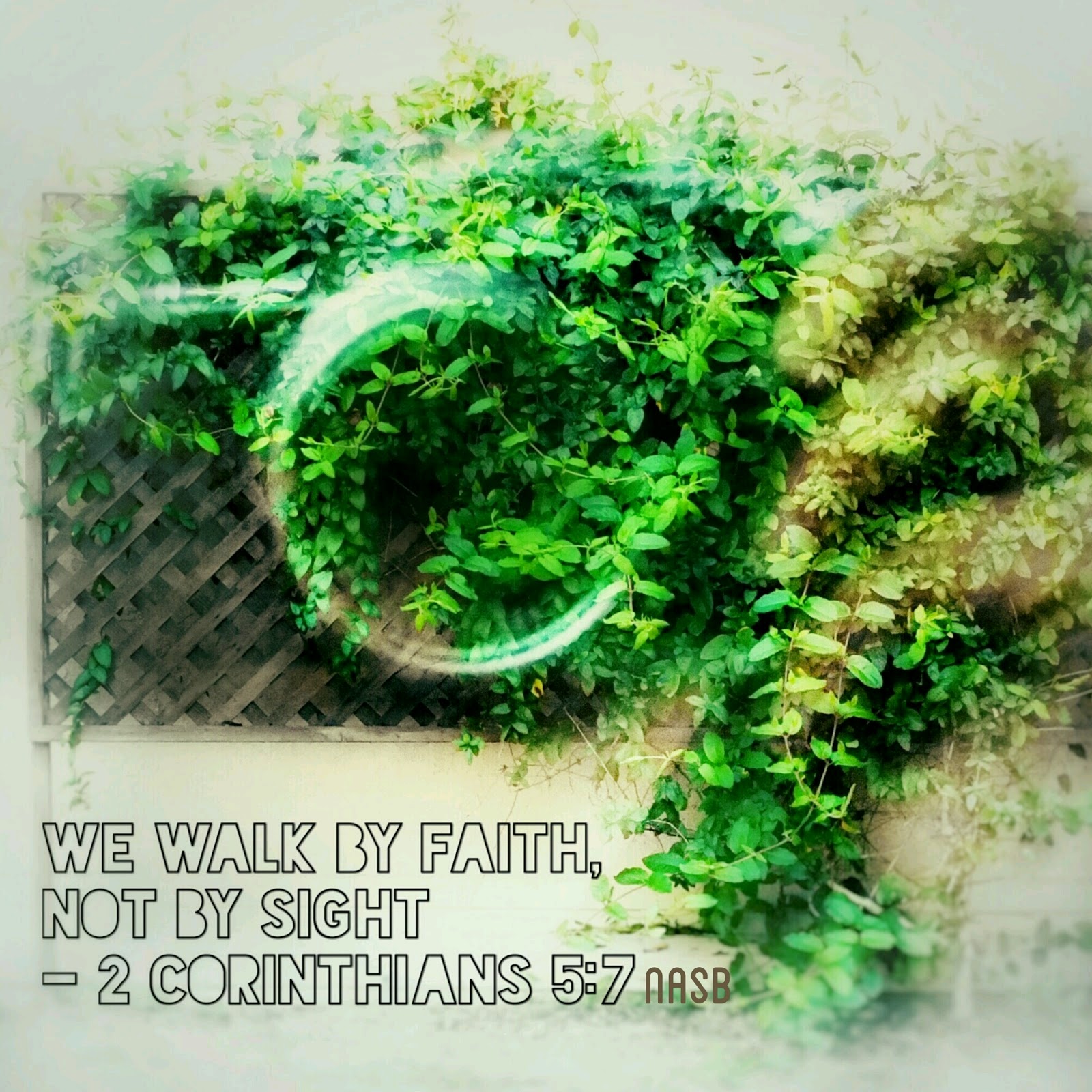 Free Christian Visual Art for Social Media: Divine Intersections: Bible ...