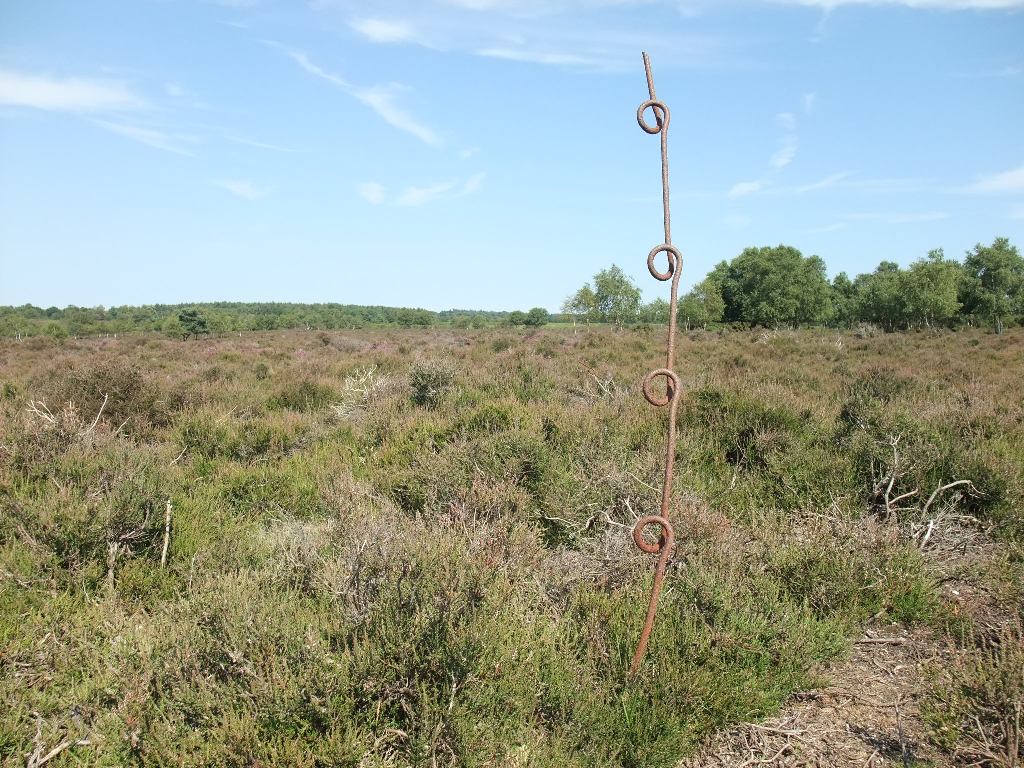 WW1 and WW2 Defences - Suffolk and beyond: More Trenches, Westleton Heath