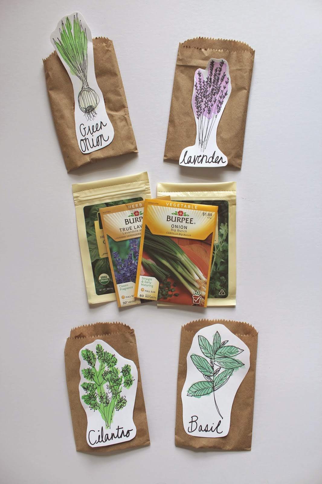 Love, Jessica Anne: Earth Day DIY: Seed packaging and Herb doodles