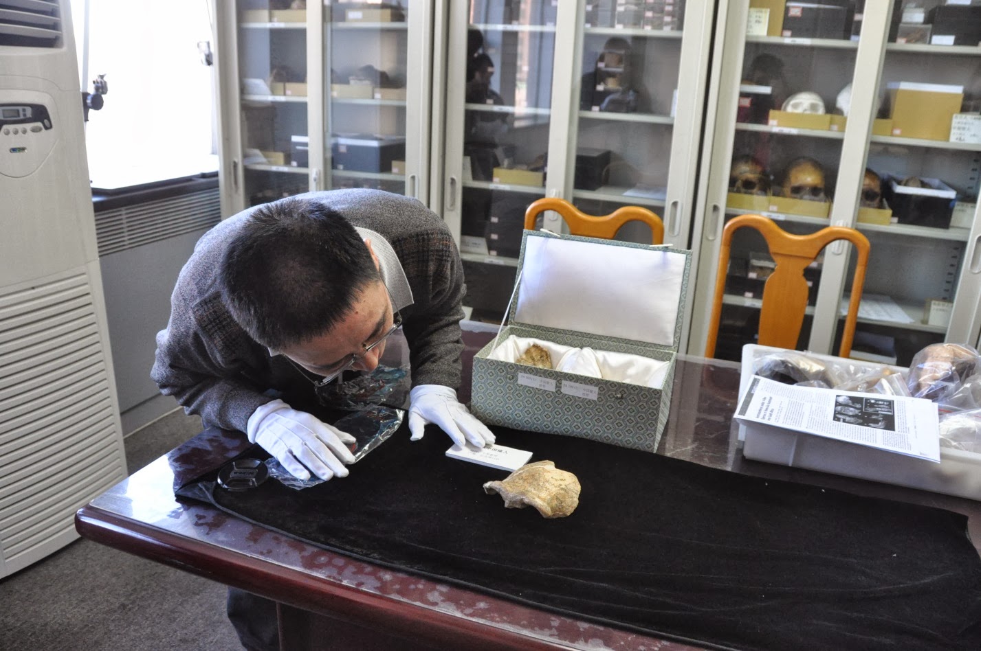 Dr. Chen Shen (ROMSHEN) : The “Peking Man”: Evolution beyond the ...