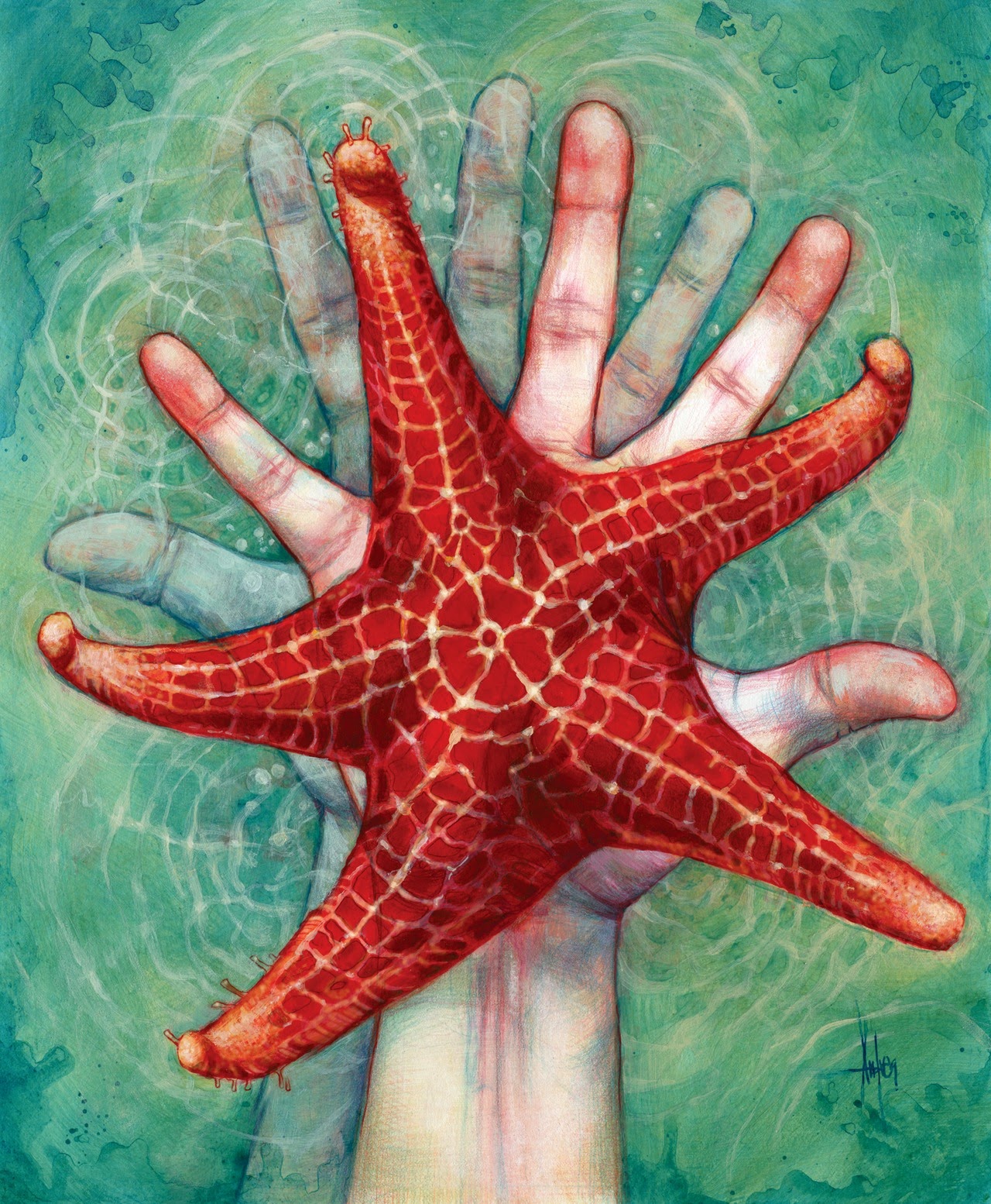 Le Proyecto White: septiembre 2013