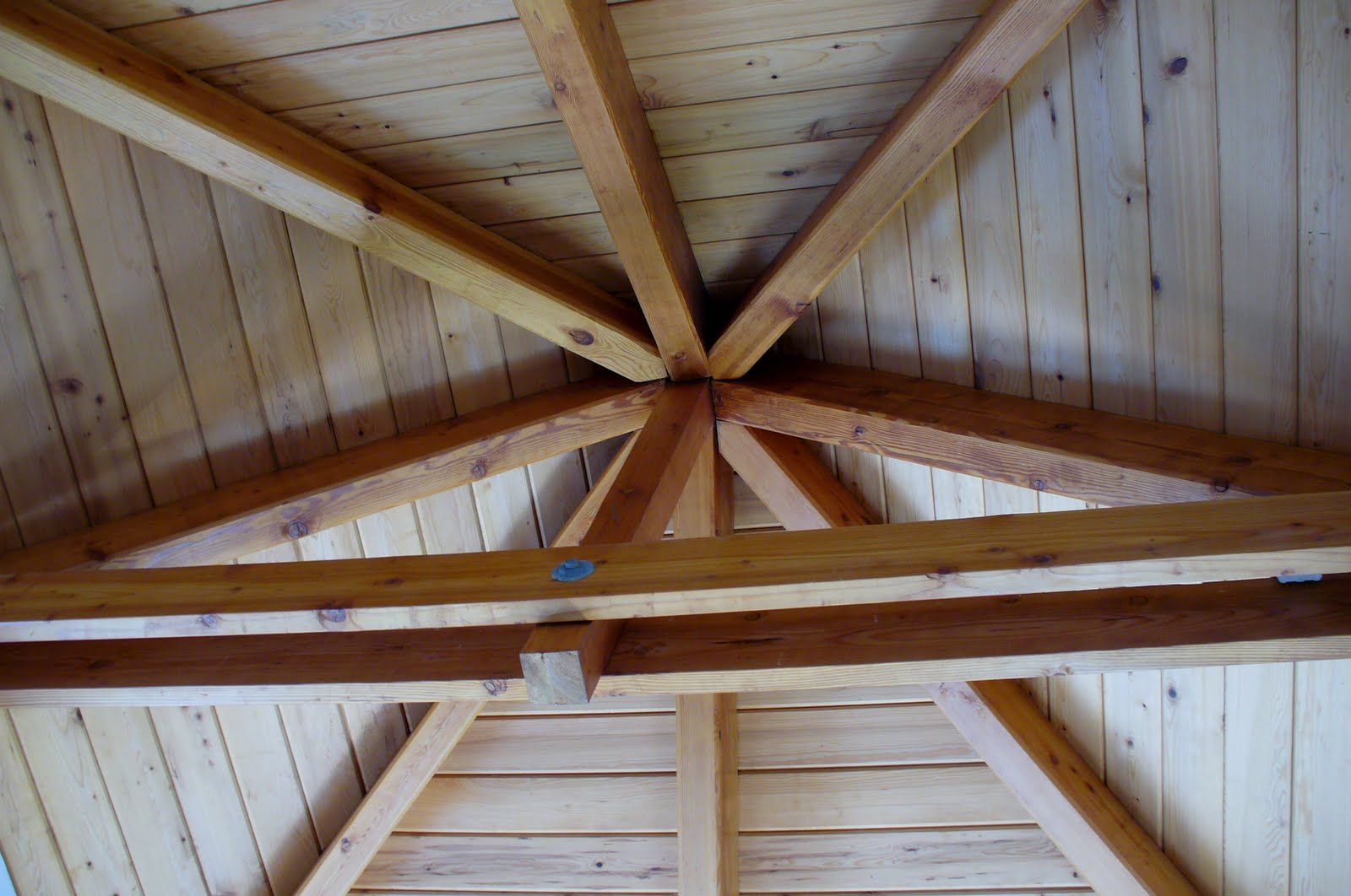 Alt. Build Blog: More On The Hip Roof