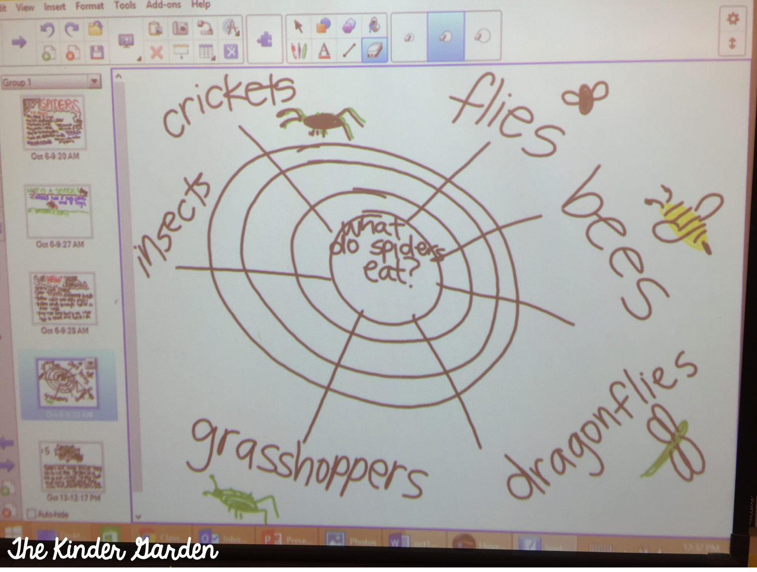 The Kinder Garden: Spider Study!