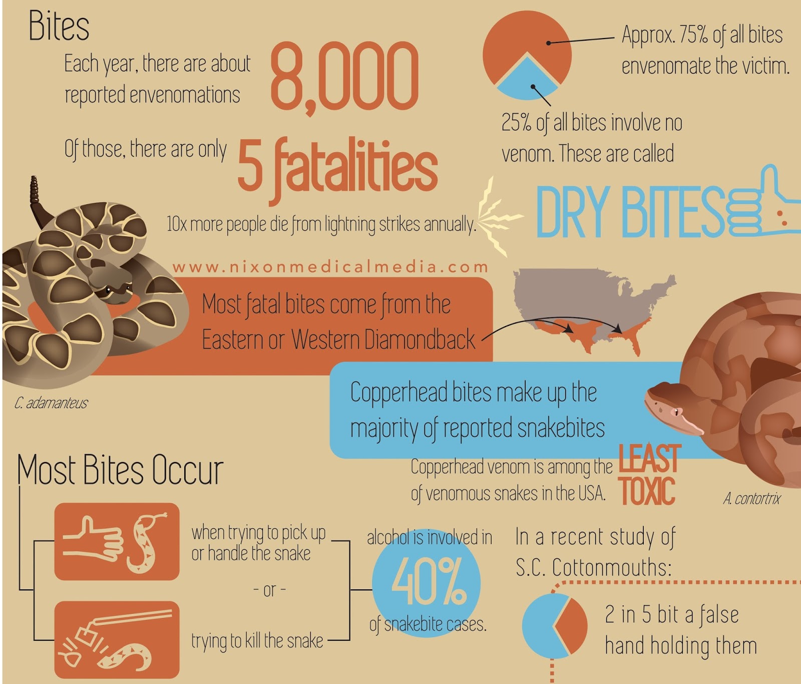 Life is short, but snakes are long: State Snakes, Linnaean Names, and ...