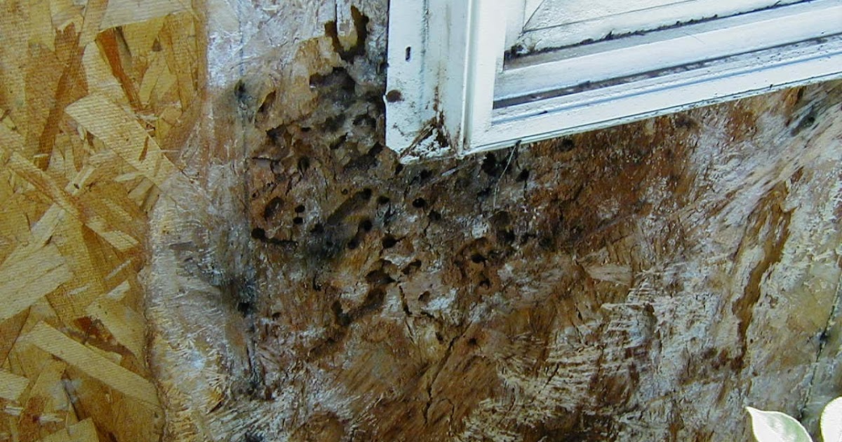 MEC&F Expert Engineers : CONSTRUCTION DEFECTS: ASSSESSMENT ...