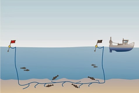 Longline Fishing ~ Fishing Longline Set