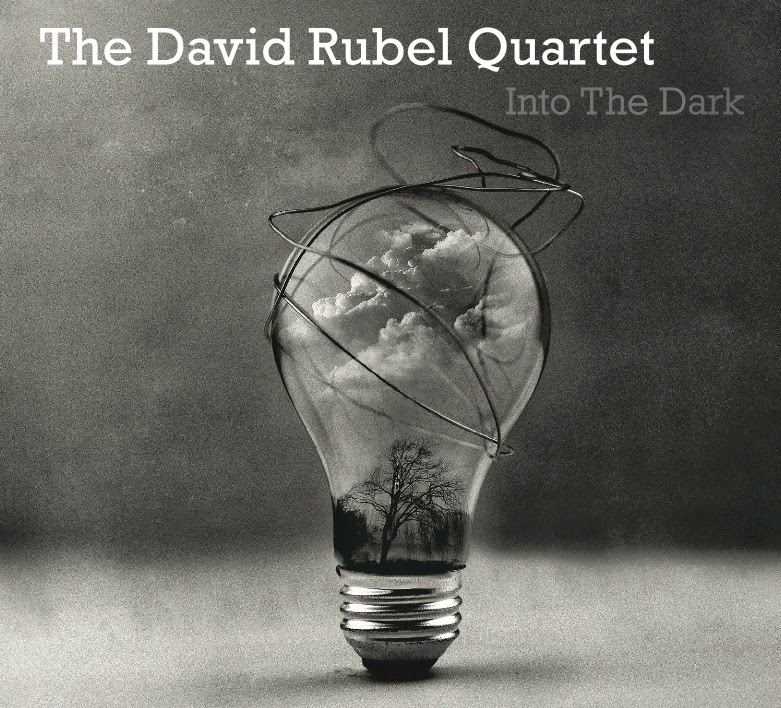 The Conrad Gayle Review: CD REVIEW: INTO THE DARK BY DAVID RUBEL