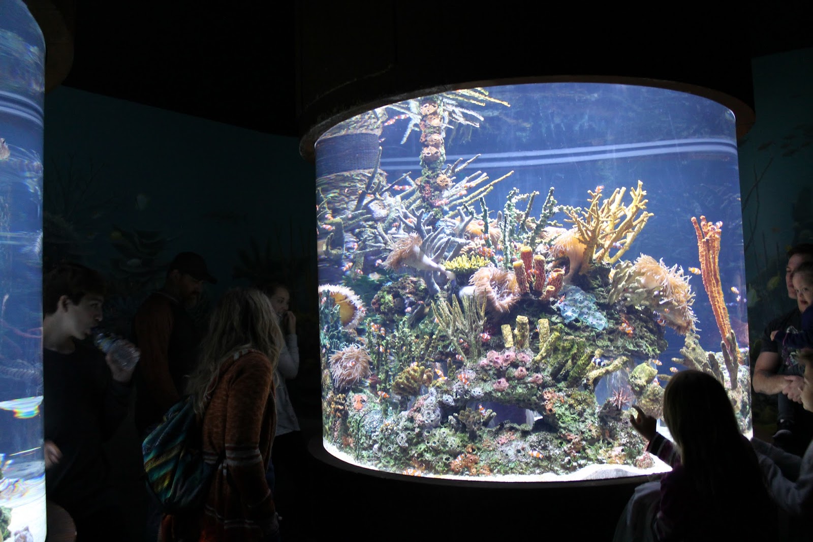 The Missouri Mom: Johnny Morris’ Wonders of Wildlife National Museum ...