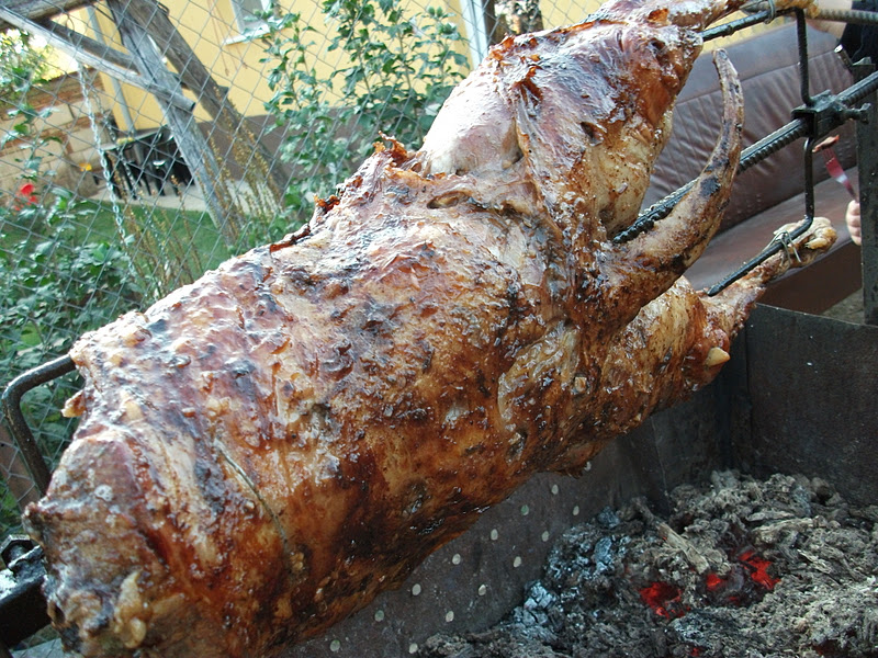 Myra's kitchen: Miel la protap