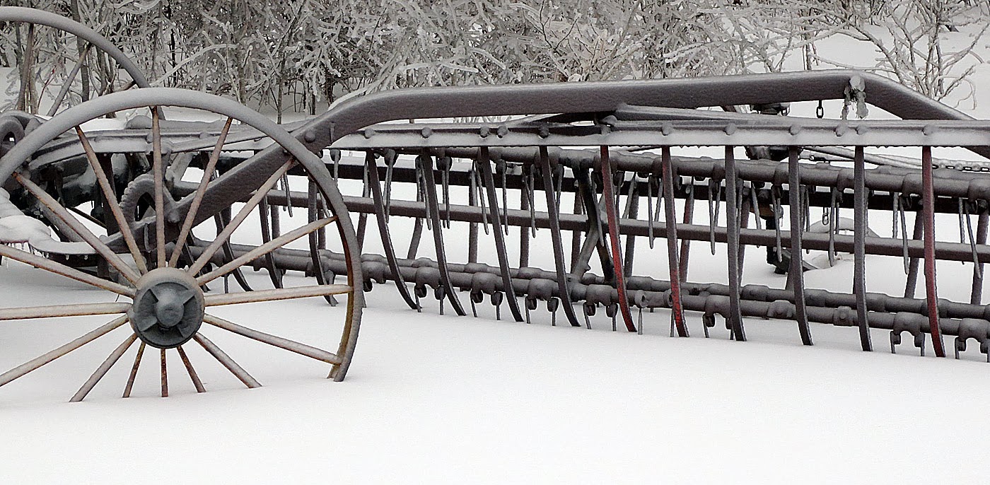 MaryHardingJewelry Bead Blog: Ice Storm Dec. 2013 Pictures