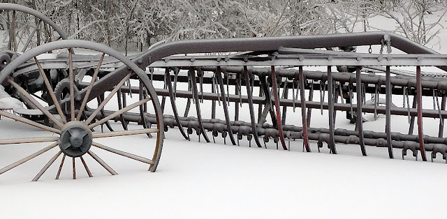 MaryHardingJewelry Bead Blog: Ice Storm Dec. 2013 Pictures