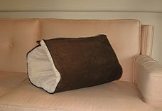 Cat and DOG Chat With Caren: Cat Product Review and Give-Away: YOUR Cat ...