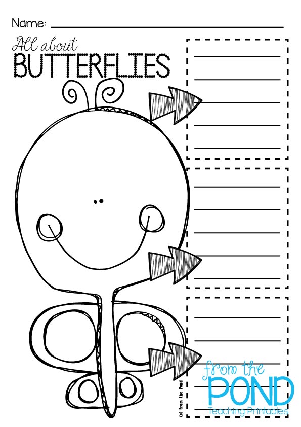 Butterfly Worksheets | From the Pond