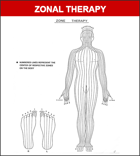 Zonal Therapy: Zonal Therapy Importance