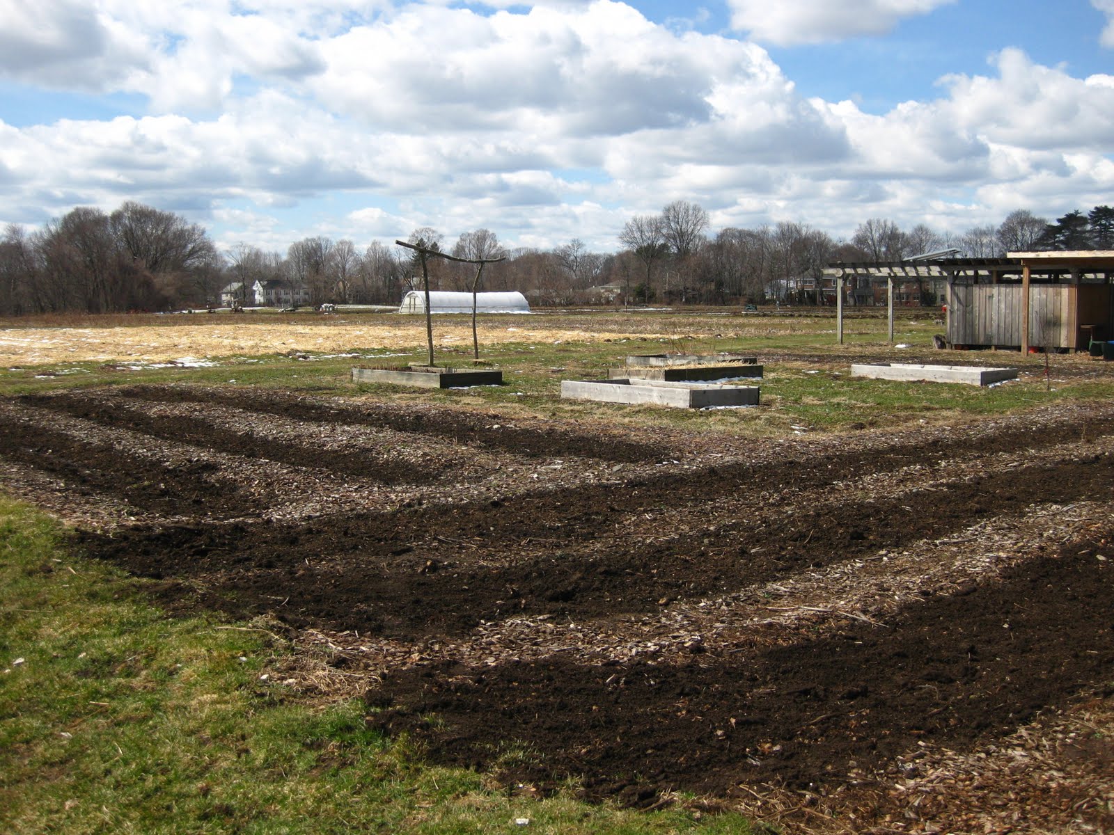 Waltham Fields Community Farm: A Little Volunteer Action in the Garden