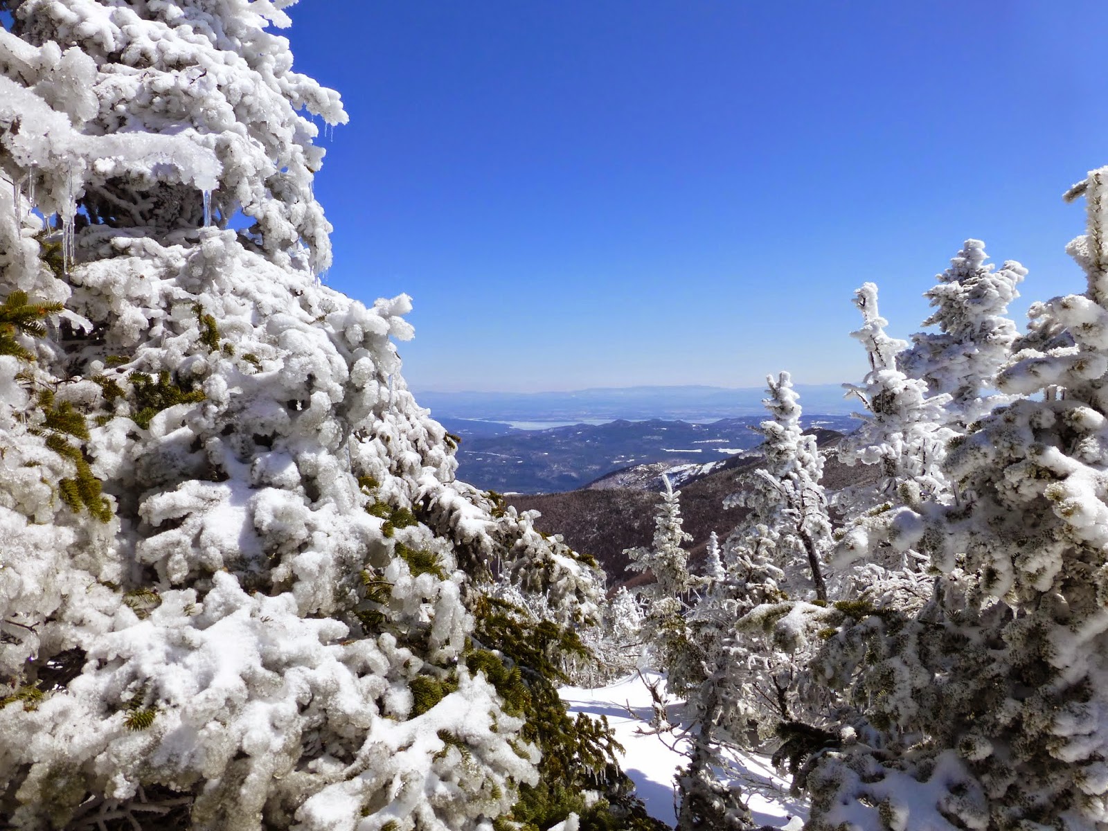 Off on Adventure: Giant Mountain and Rocky Peak Ridge - Giant Mtn ...