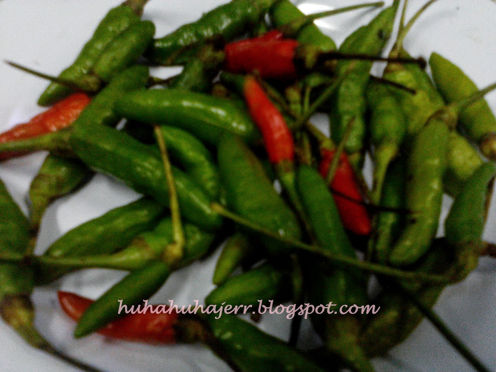 Cili Api Kekal Segar Dan Tahan Lama.... - blog santai-santai jerr!