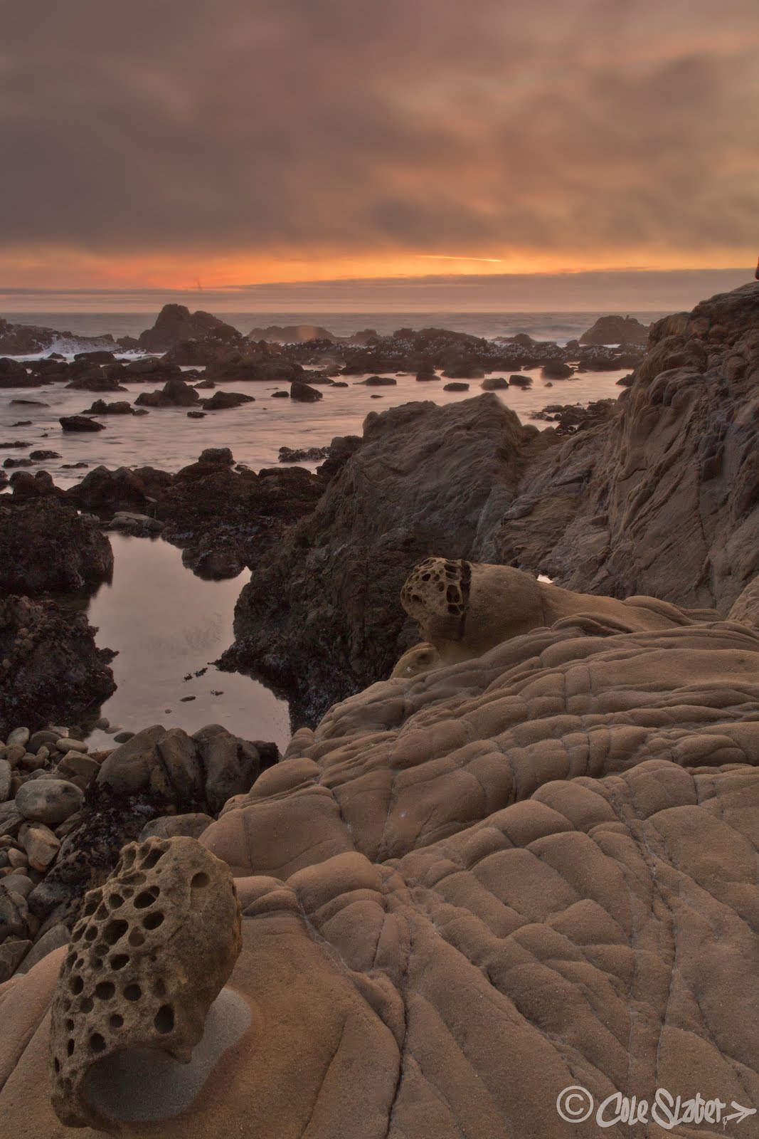Cole's Trail Tales: Salt Point State Park - Trip Report Day 1 - 2/17/12