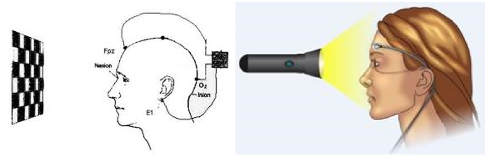 Cátedra N° 15 - Seminario N° 05 "Evaluación de agudeza visual en ...