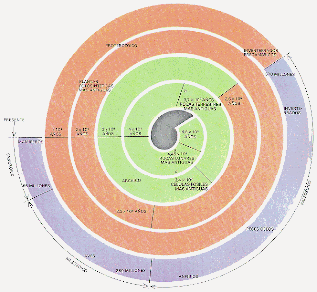 Diarios de V 2.0: Evolución de la tierra en infografía