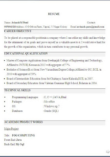 fake resume free download