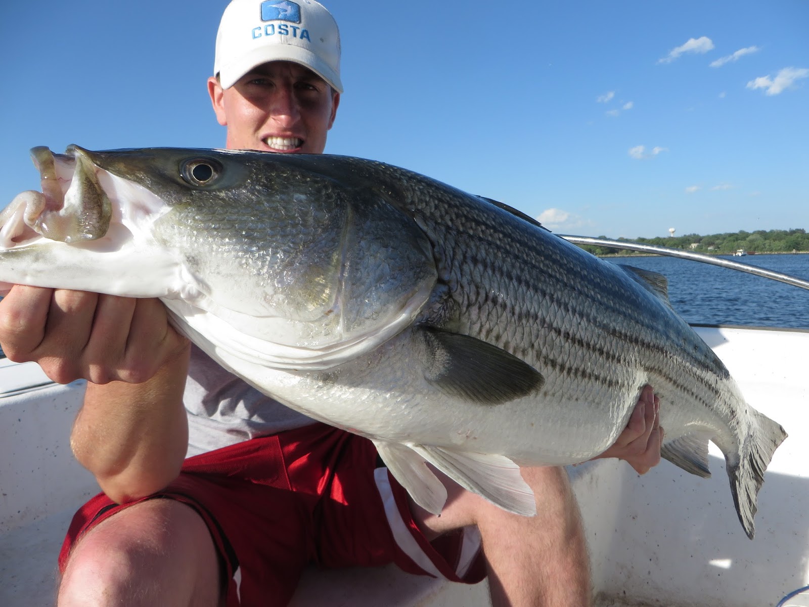 Rhode Island Striped Bass: One of the Best BIG FISH Days of All Time