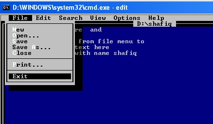 Programming Language