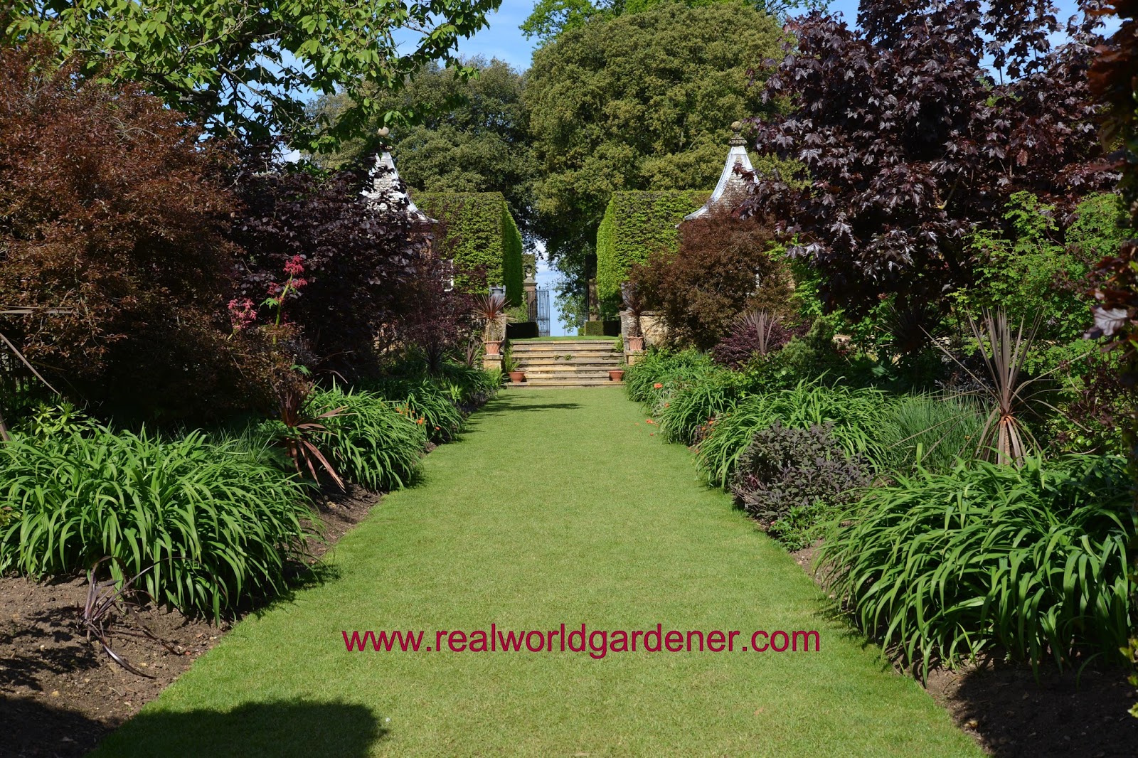 [Liste] Best Flowering Shrubs For Borders