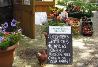 Essex Local Produce: Sarah Green's Organics