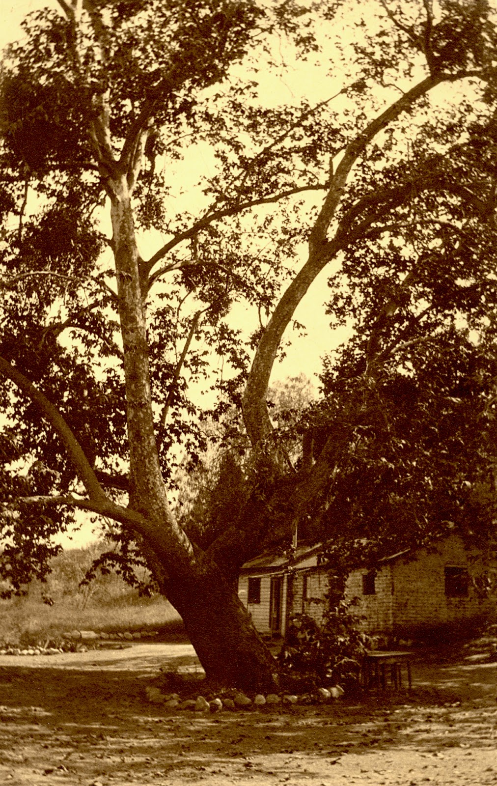 The Museum of the San Fernando Valley: RARE KAGEL CANYON PHOTO DISCOVERED