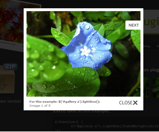 8 Top Jquery Popup Window Plugins Examples With Tutorials Aspnetcnetvbnetjquery
