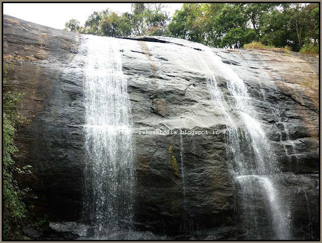 The Voice of Greenery - Trekking and Travelling in Western Ghats ...