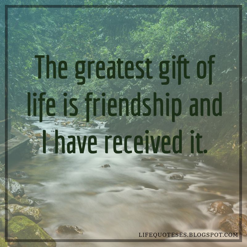 100+ Best Friendship Status In English For Whatsapp - LIFE QUOTESES
