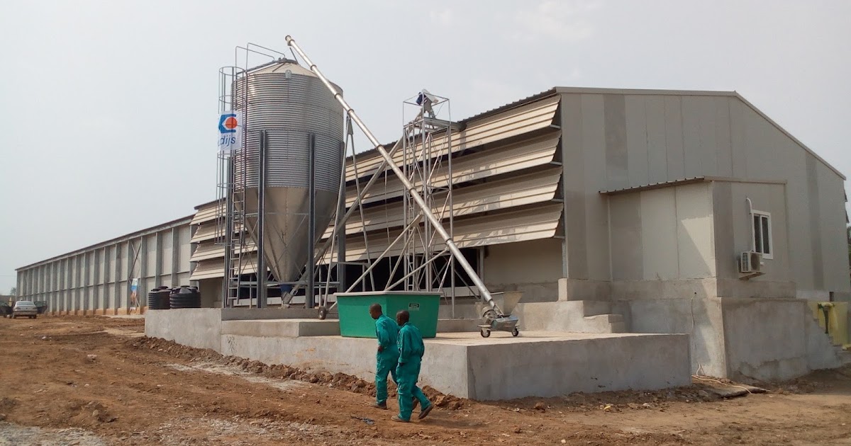 Kenechukwu Ofomah: Anambra opens largest Poultry Farm in the SouthEast ...