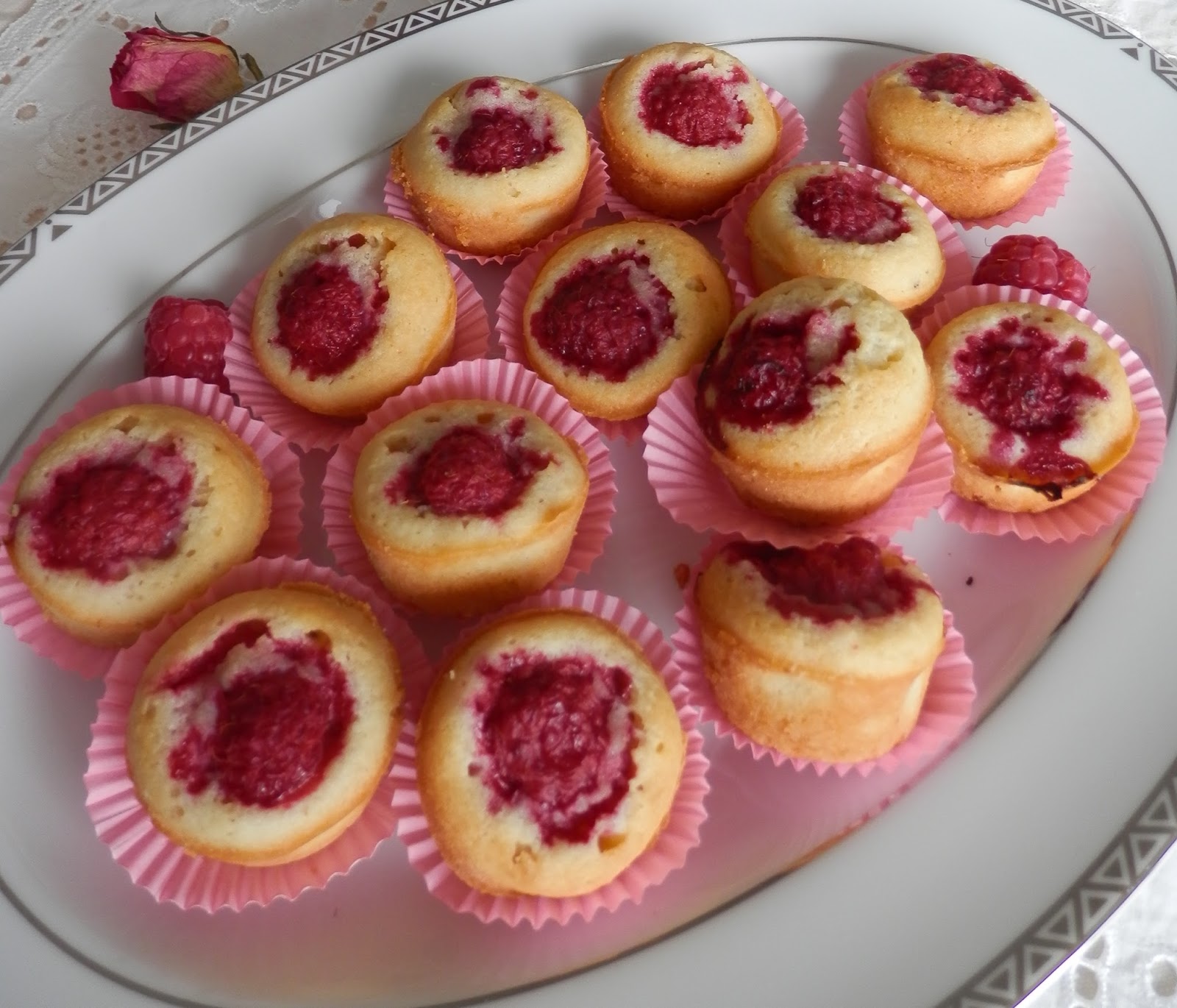 Albert Camus | Berry Financiers
