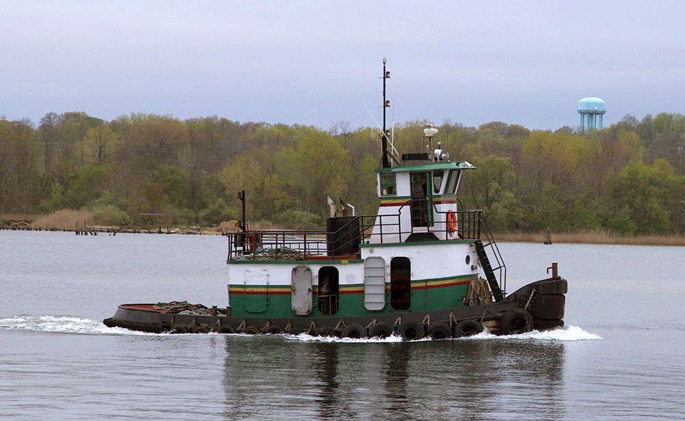 A Picture Each Day: "Little Toot"