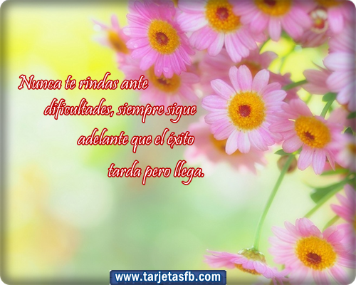 Tarjetas para Facebook Gratis | Postales para Amor y Amistad: Tarjetas ...