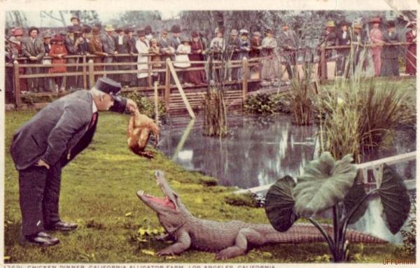 DECAYING HOLLYWOOD MANSIONS: The California Alligator Farm - Los Angeles