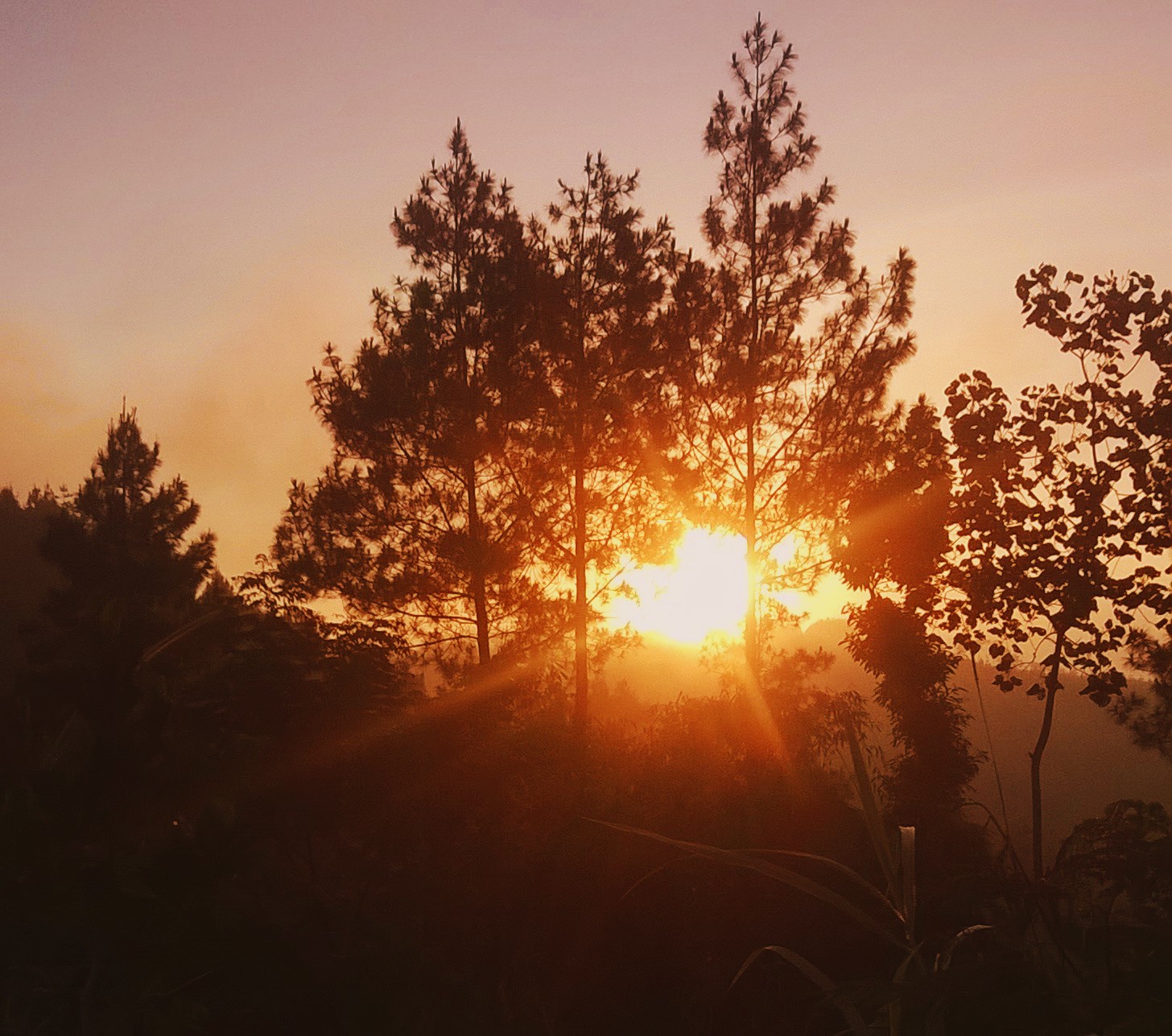 34+ Info Terbaru Kenapa Senja Lebih Indah Daripada Fajar