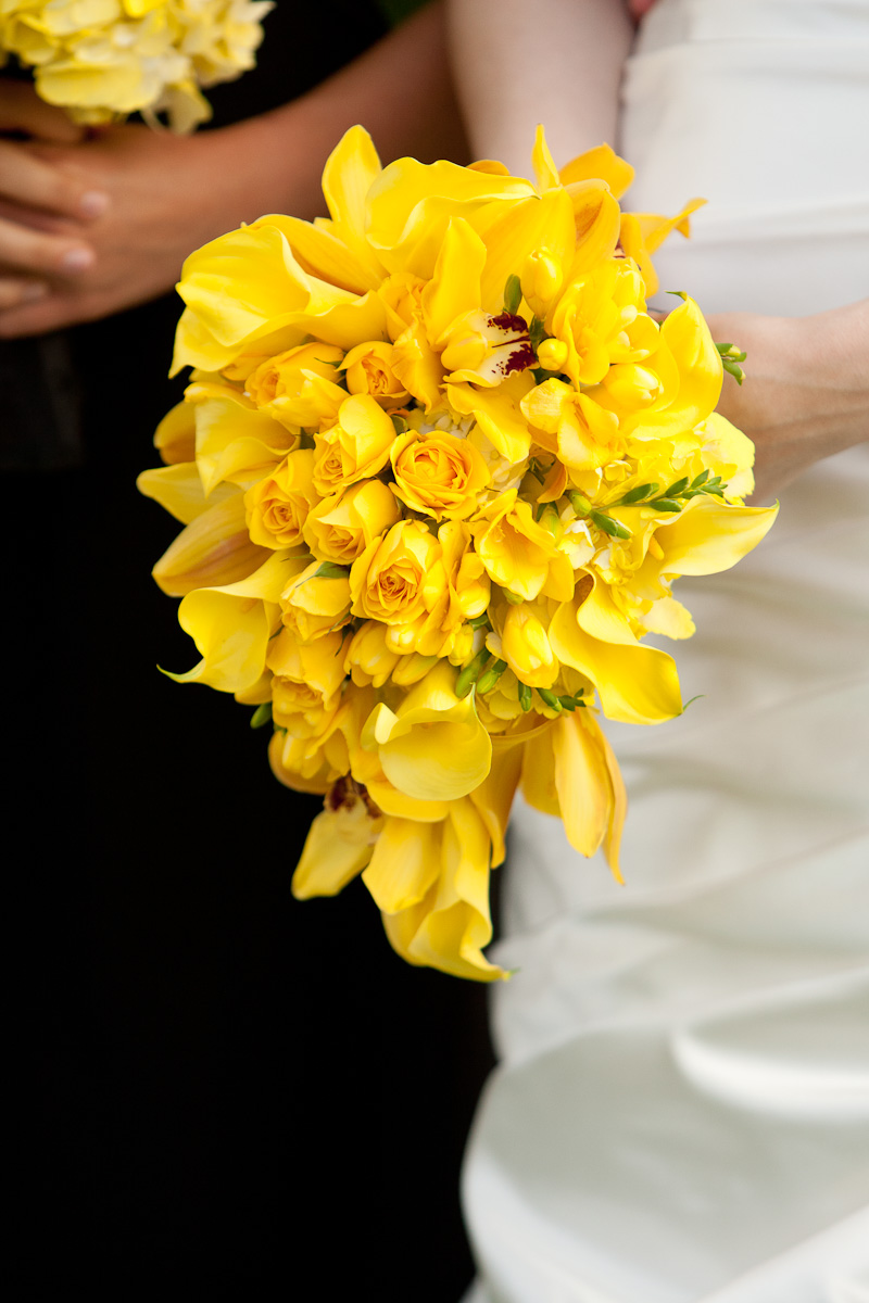 . Petit Fleur Events .: Rachel & Josh Meisel - June 11th 2011, Fox ...