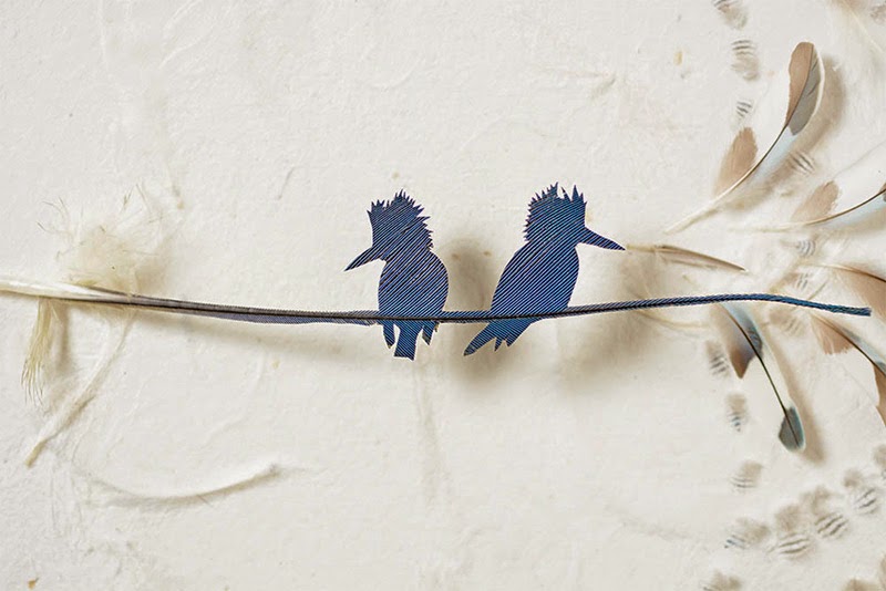 bensozia: Chris Maynard's Cut Feather Shadow Boxes