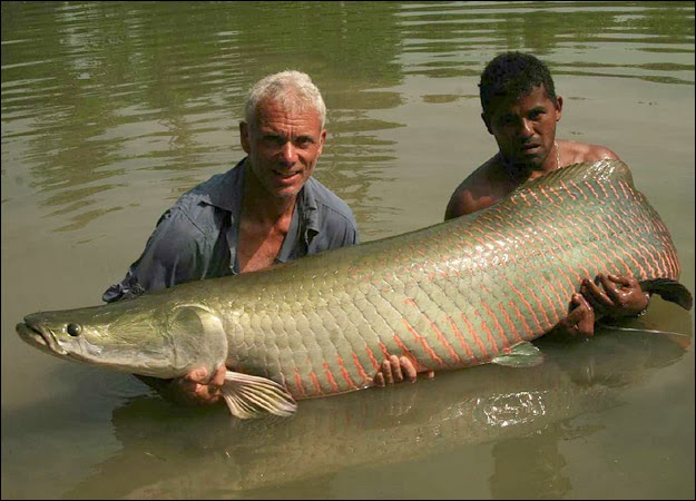 NOTICIAS Y EFEMERIDES MUSICALES Y DEL CINE: AÚN QUEDAN MONSTRUOS POR ...