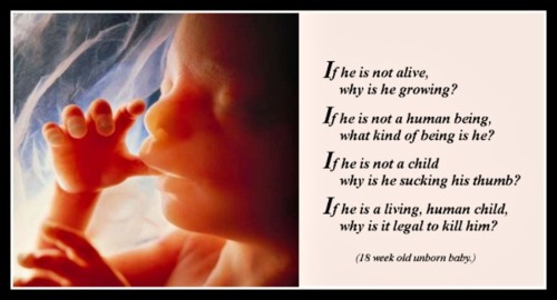 Social Justice Issues Begin In The Womb - Totus Tuus Family & Catholic ...