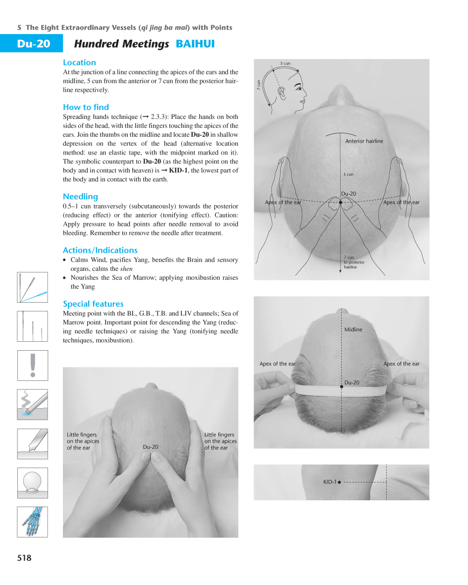 Acupuncture Masters: Acupuncture Points Database - Du Channel